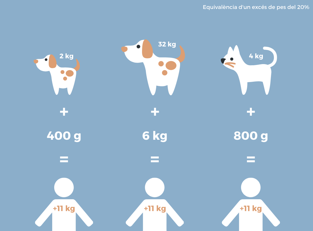 Pesar no es suficiente para controlar el peso de tu peludo - L'Arca ...